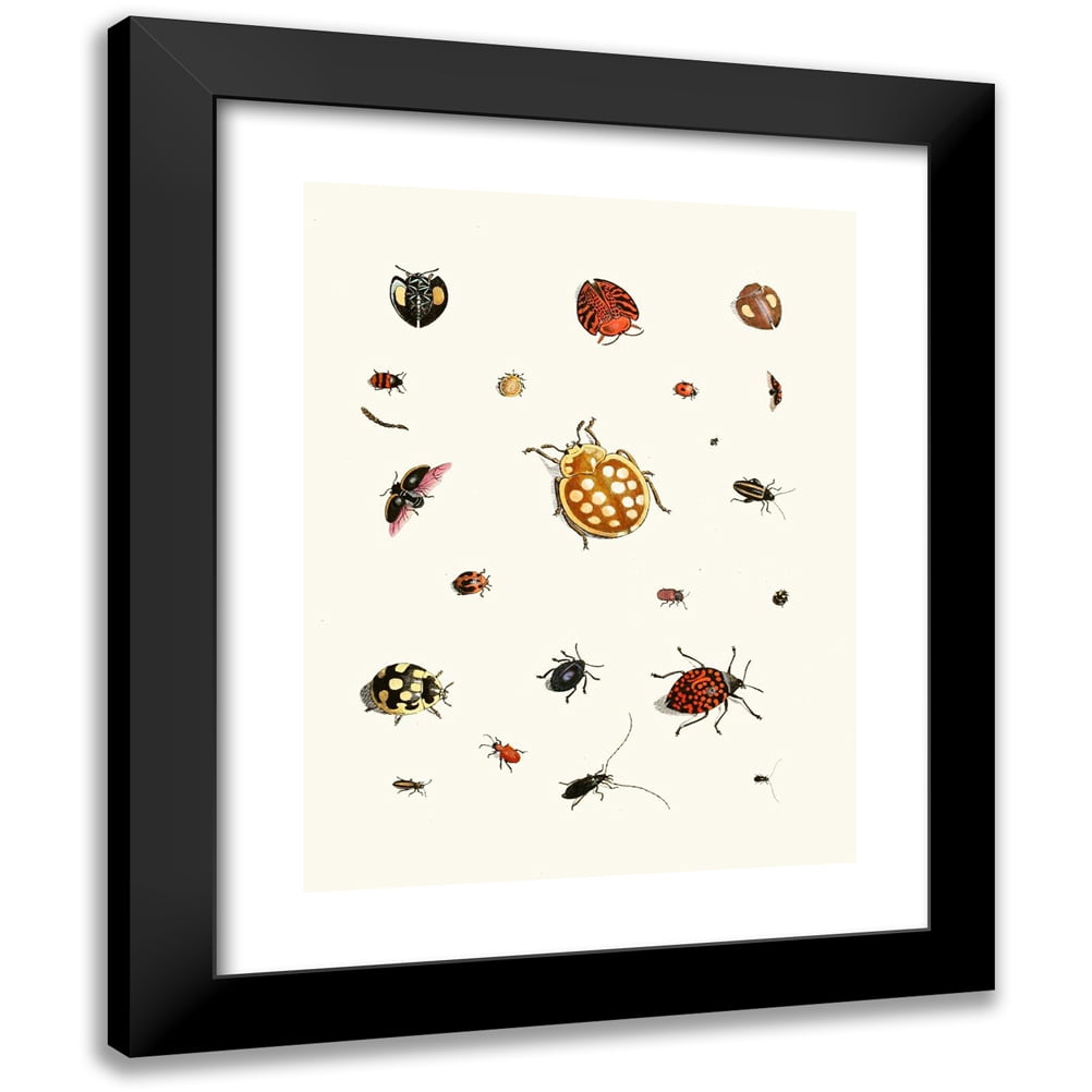Johann Heinrich Sulzer 12x14 Black Modern Framed Museum Art Print ...