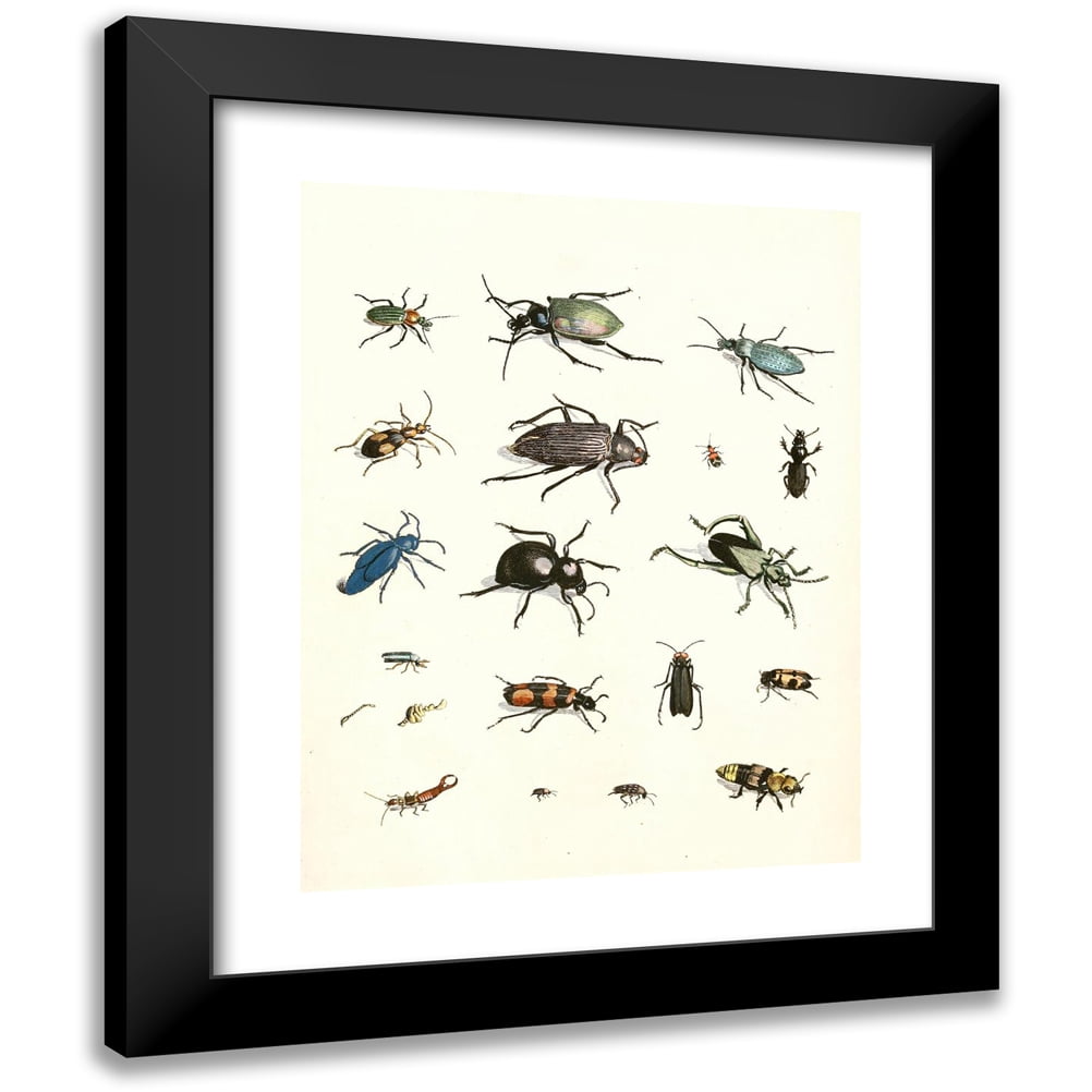 Johann Heinrich Sulzer 12x14 Black Modern Framed Museum Art Print ...