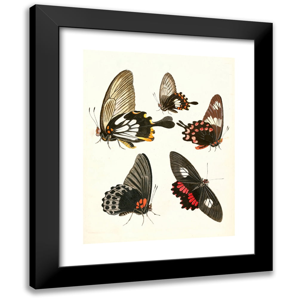 Johann Heinrich Sulzer 12x14 Black Modern Framed Museum Art Print ...