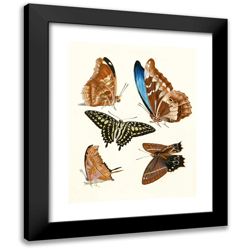 Johann Heinrich Sulzer 12x14 Black Modern Framed Museum Art Print ...
