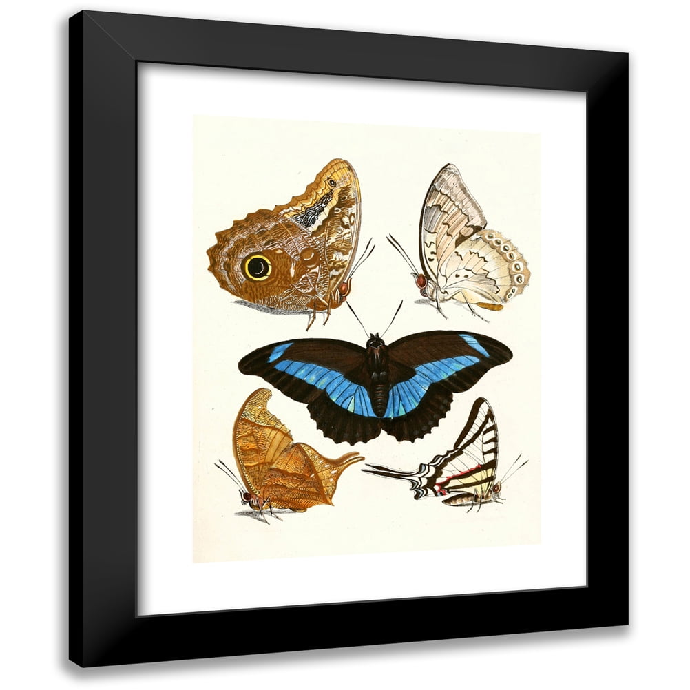 Johann Heinrich Sulzer 12x14 Black Modern Framed Museum Art Print ...