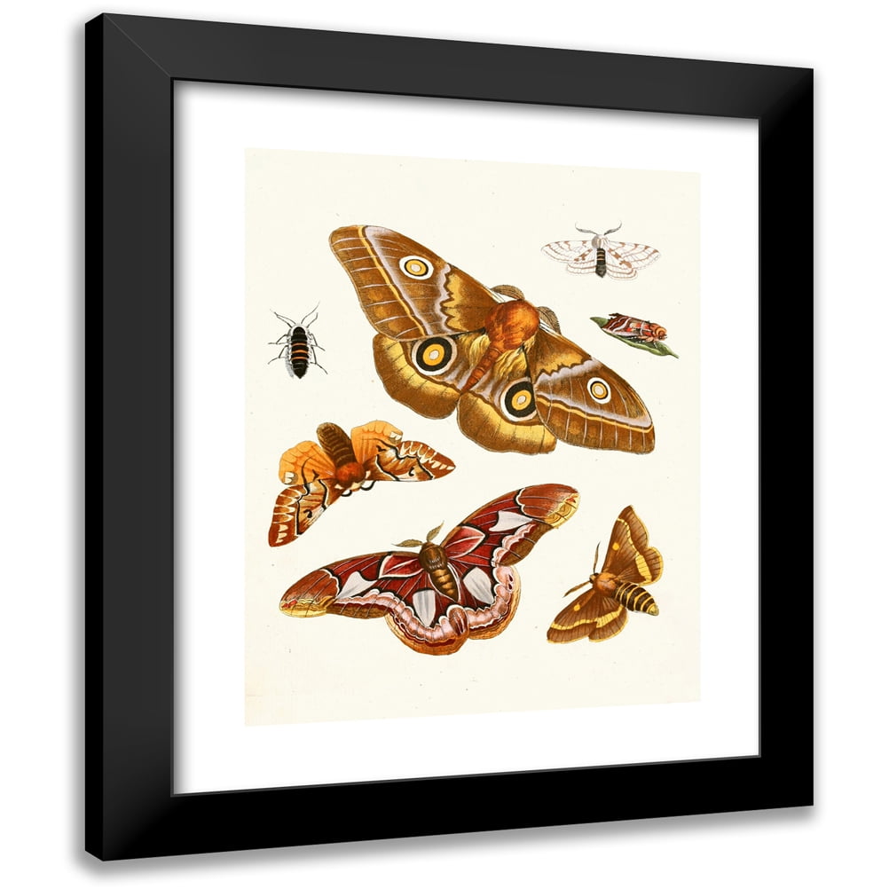 Johann Heinrich Sulzer 12x14 Black Modern Framed Museum Art Print ...