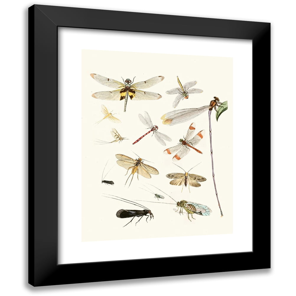 Johann Heinrich Sulzer 12x14 Black Modern Framed Museum Art Print ...