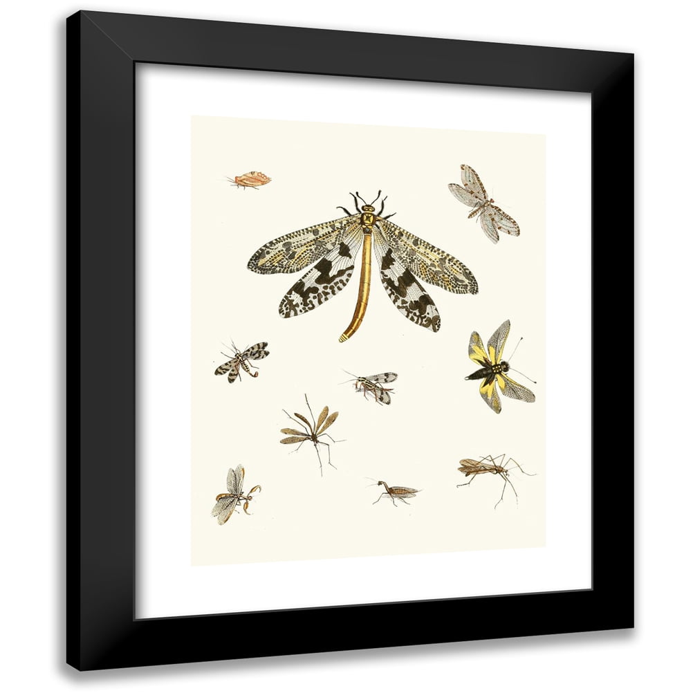 Johann Heinrich Sulzer 12x14 Black Modern Framed Museum Art Print ...