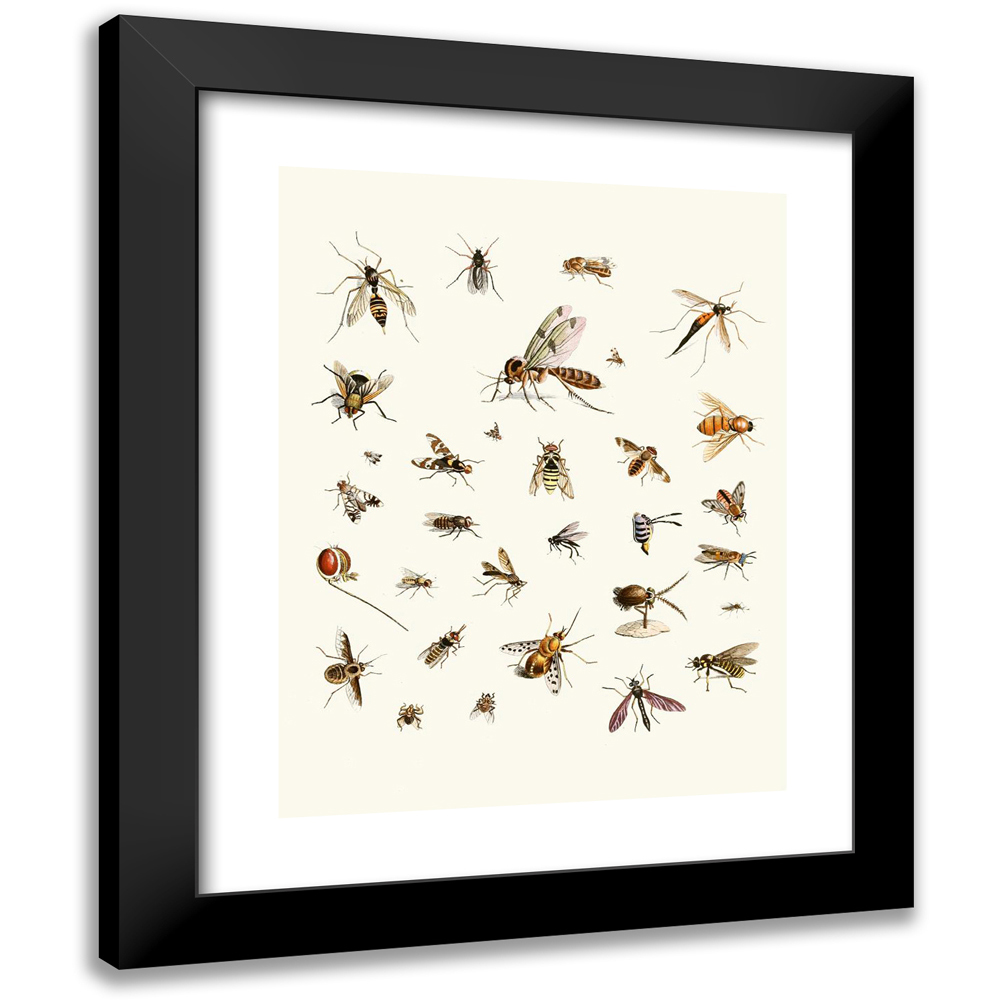 Johann Heinrich Sulzer 12x14 Black Modern Framed Museum Art Print ...