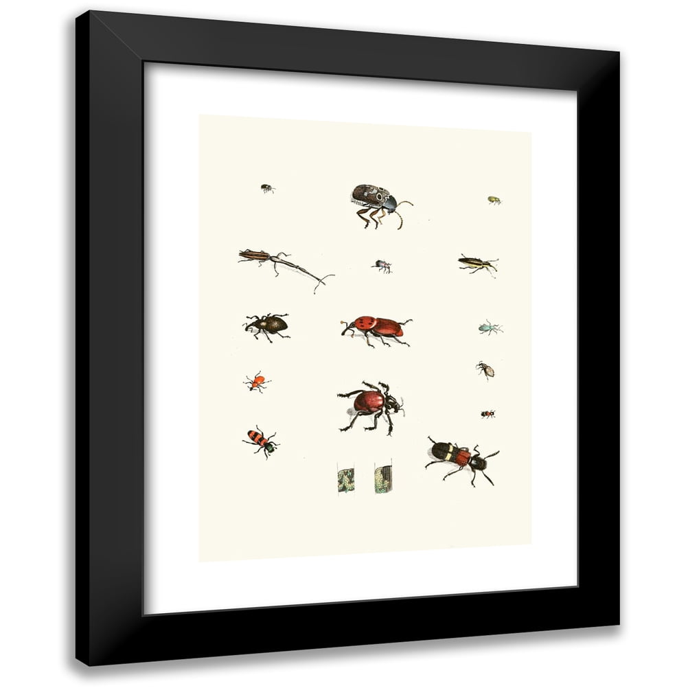 Johann Heinrich Sulzer 14x18 Black Modern Framed Museum Art Print ...