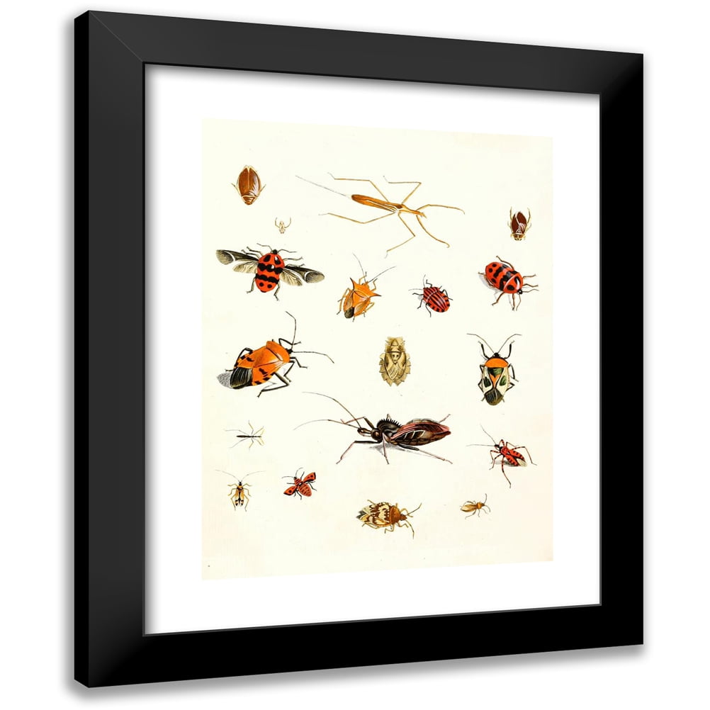 Johann Heinrich Sulzer 14x18 Black Modern Framed Museum Art Print ...