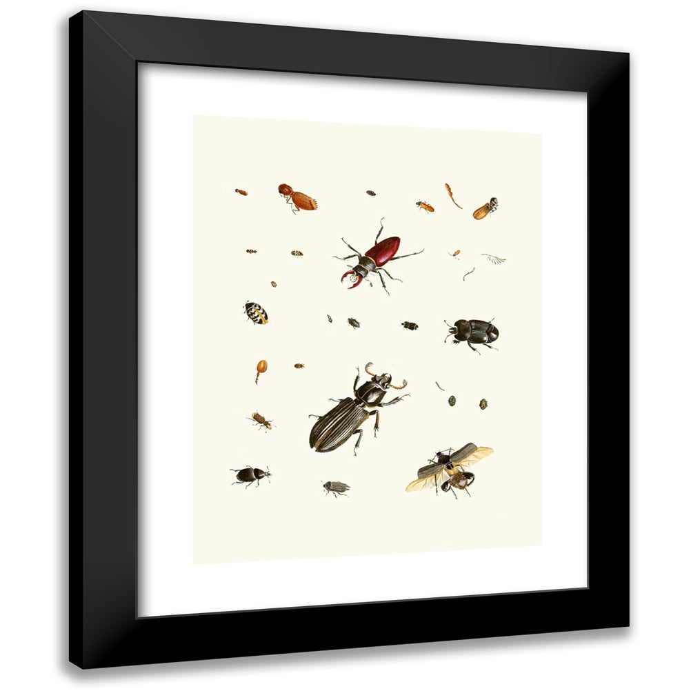 Johann Heinrich Sulzer 15x18 Black Modern Framed Museum Art Print ...