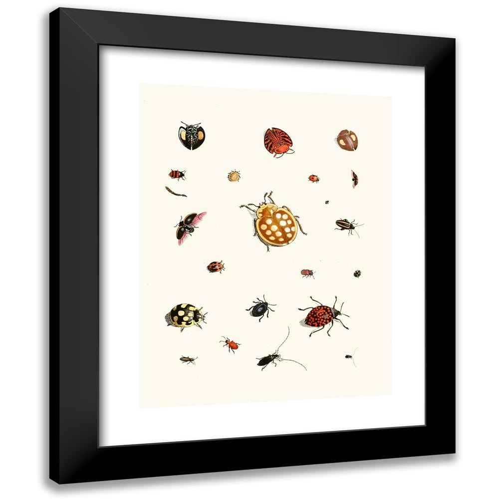 Johann Heinrich Sulzer 15x18 Black Modern Framed Museum Art Print ...