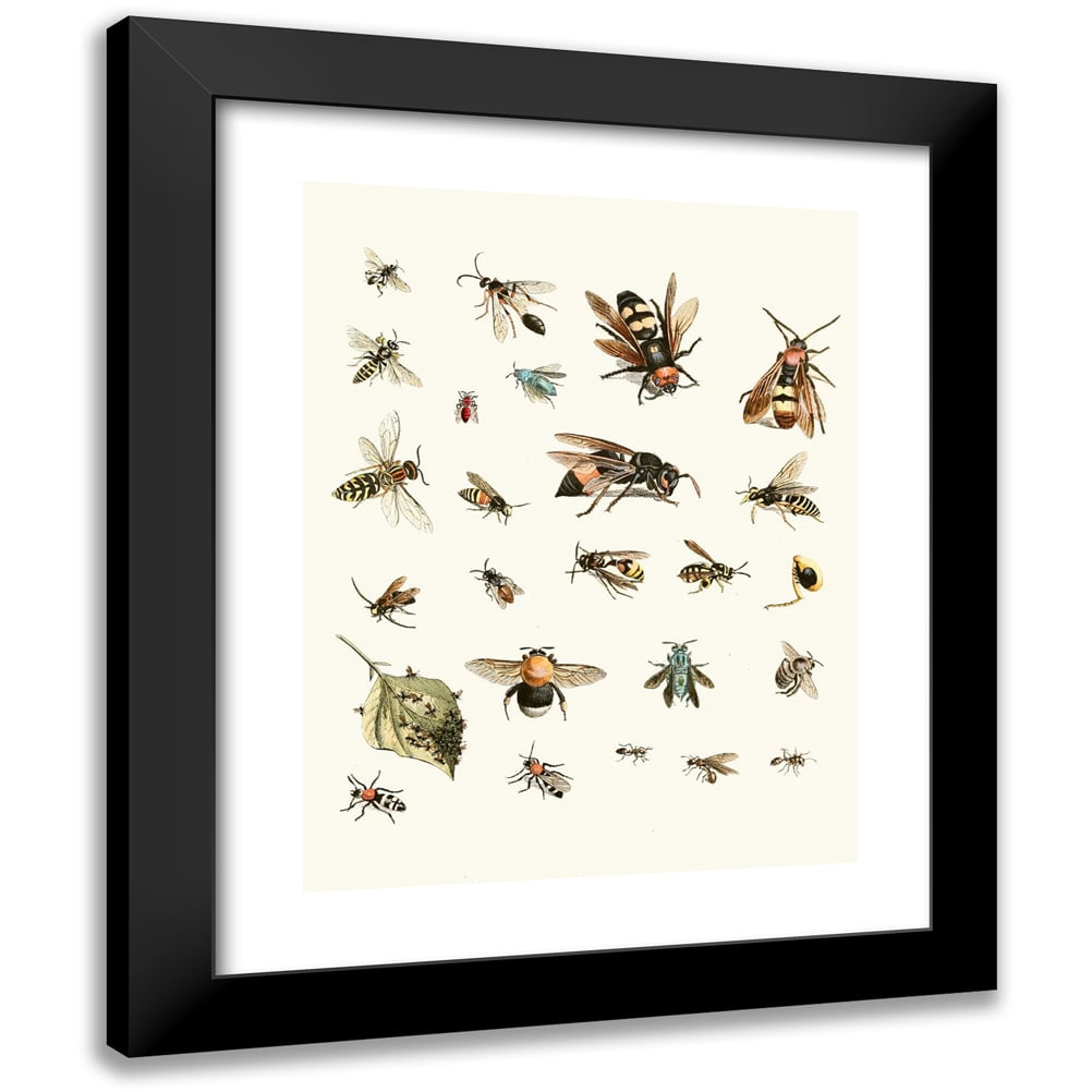 Johann Heinrich Sulzer 15x18 Black Modern Framed Museum Art Print ...