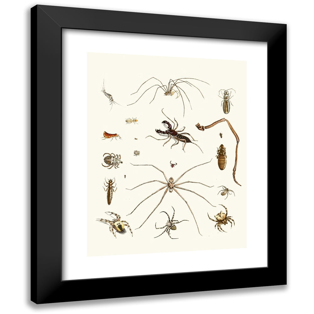 Johann Heinrich Sulzer 15x18 Black Modern Framed Museum Art Print ...