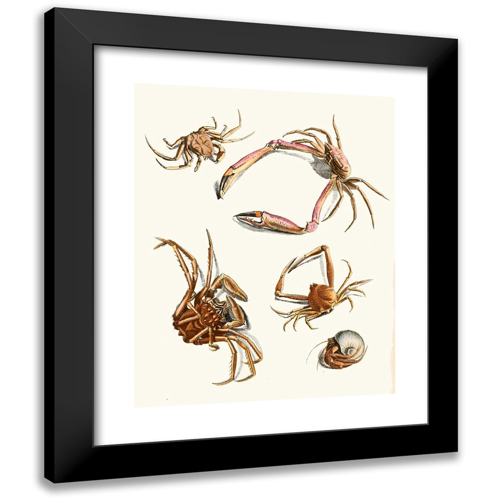 Johann Heinrich Sulzer 15x18 Black Modern Framed Museum Art Print ...