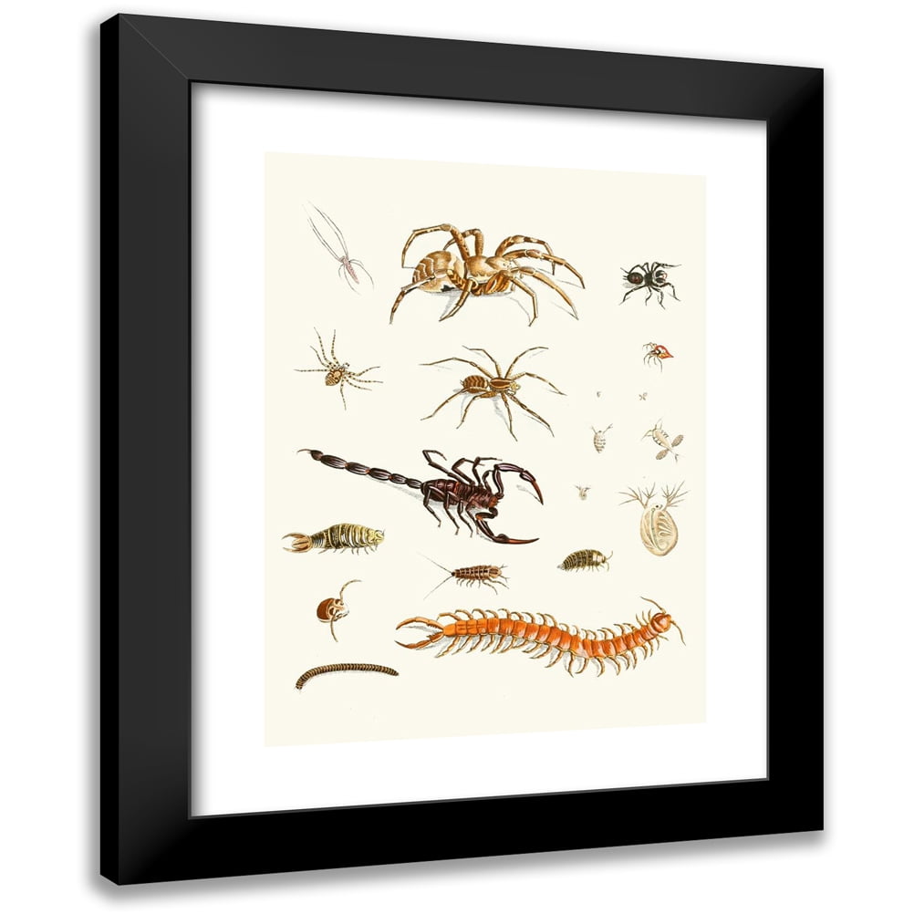 Johann Heinrich Sulzer 18x24 Black Modern Framed Museum Art Print ...