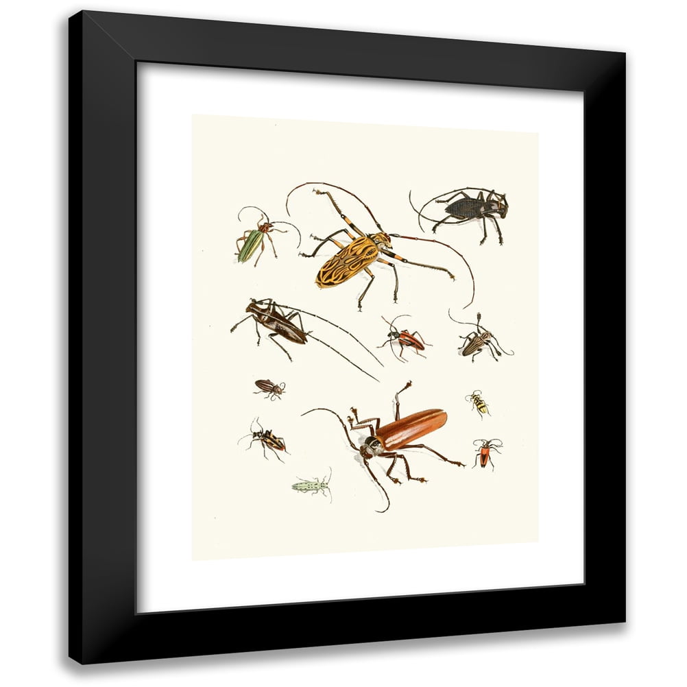 Johann Heinrich Sulzer 19x24 Black Modern Framed Museum Art Print ...