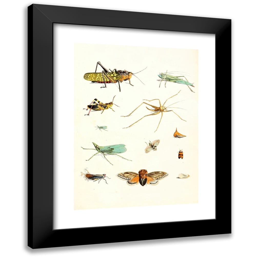 Johann Heinrich Sulzer 19x24 Black Modern Framed Museum Art Print ...