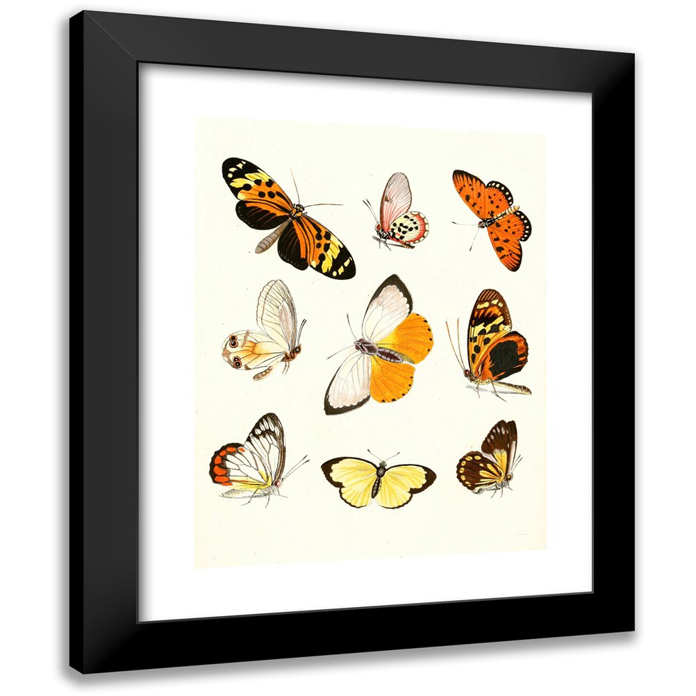 Johann Heinrich Sulzer 19x24 Black Modern Framed Museum Art Print ...