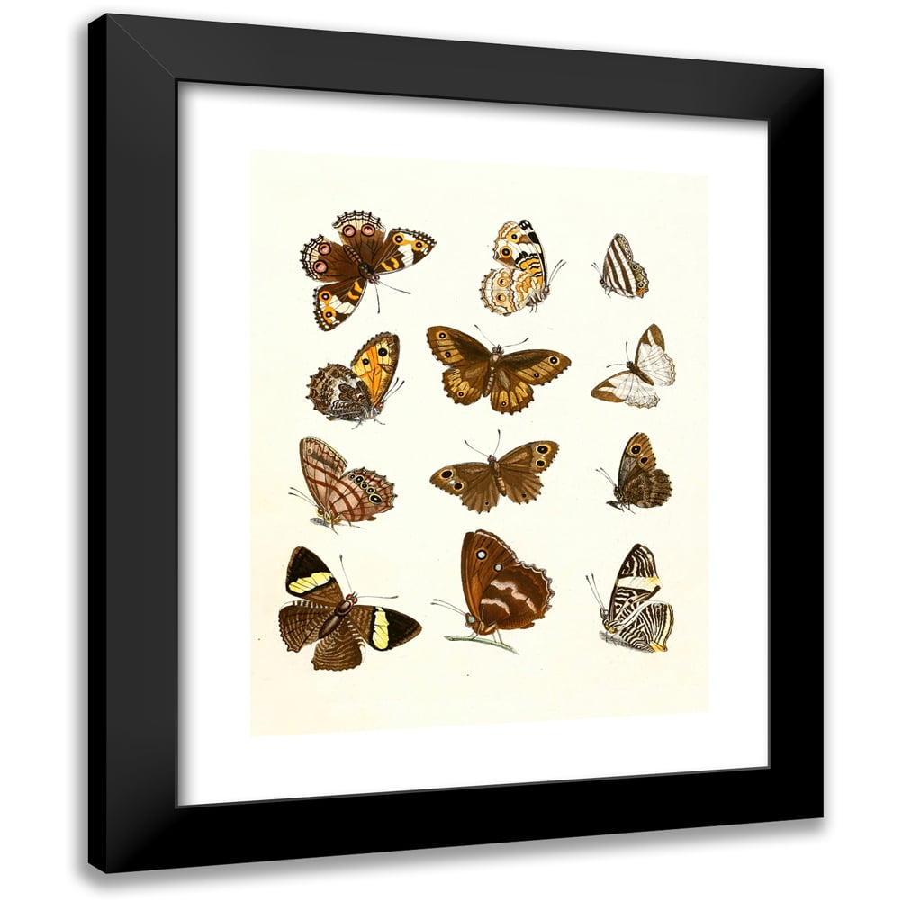 Johann Heinrich Sulzer 19x24 Black Modern Framed Museum Art Print ...