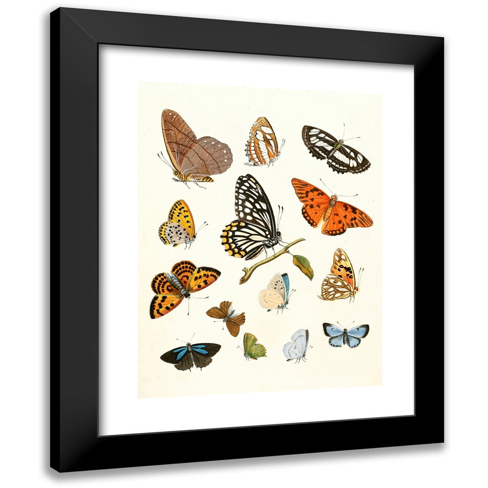 Johann Heinrich Sulzer 19x24 Black Modern Framed Museum Art Print ...