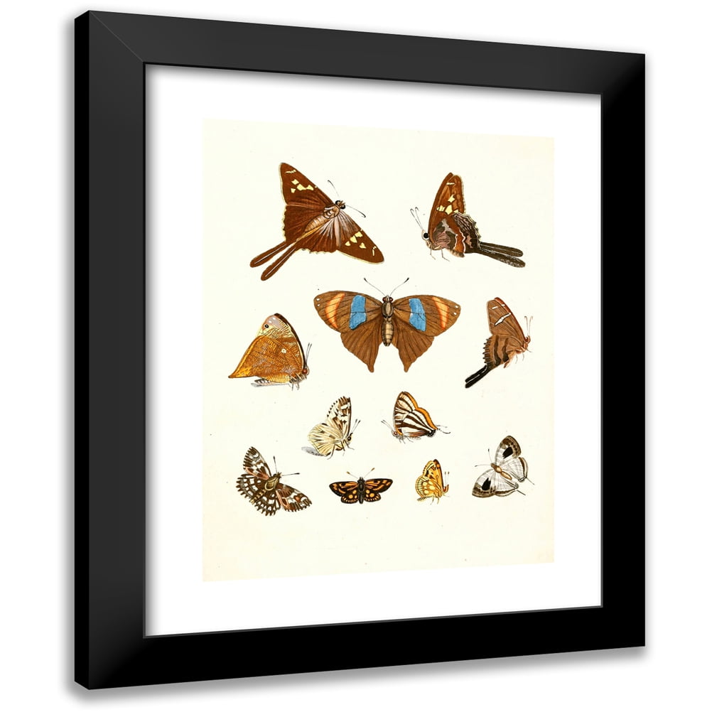Johann Heinrich Sulzer 19x24 Black Modern Framed Museum Art Print ...