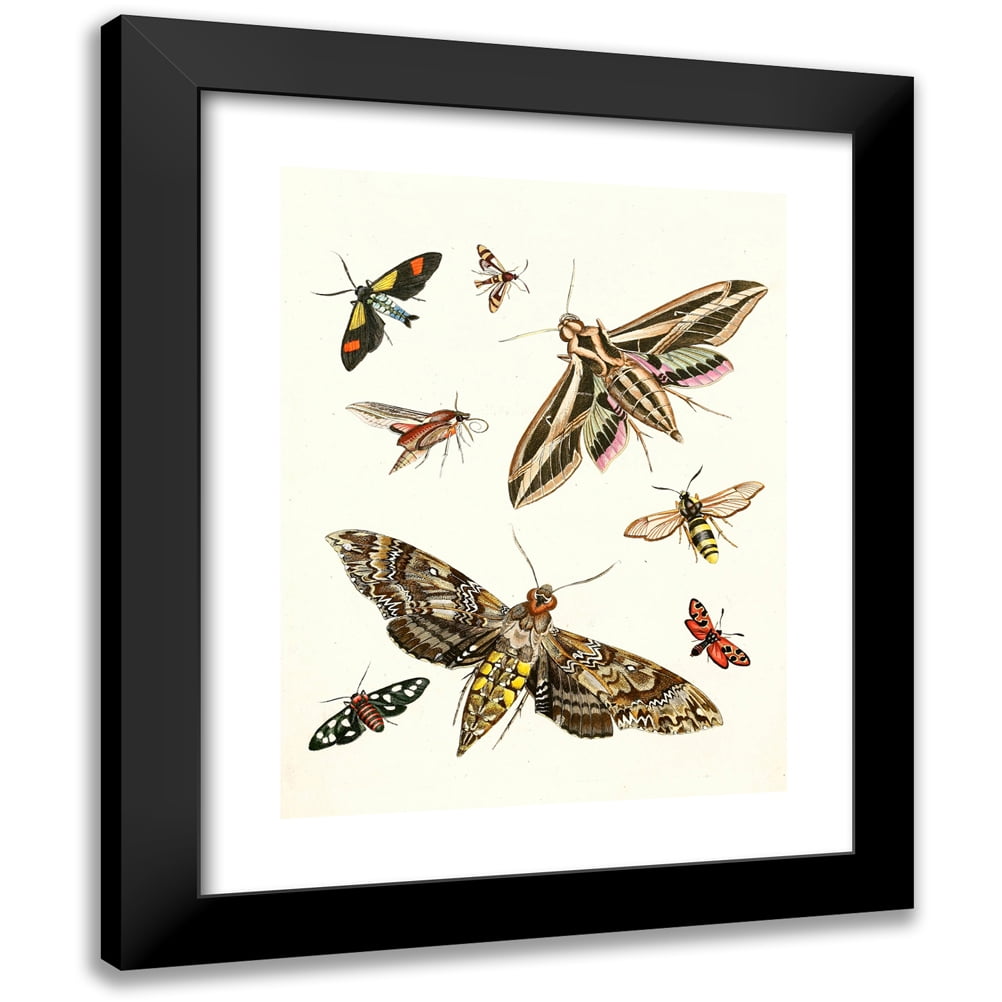 Johann Heinrich Sulzer 19x24 Black Modern Framed Museum Art Print ...