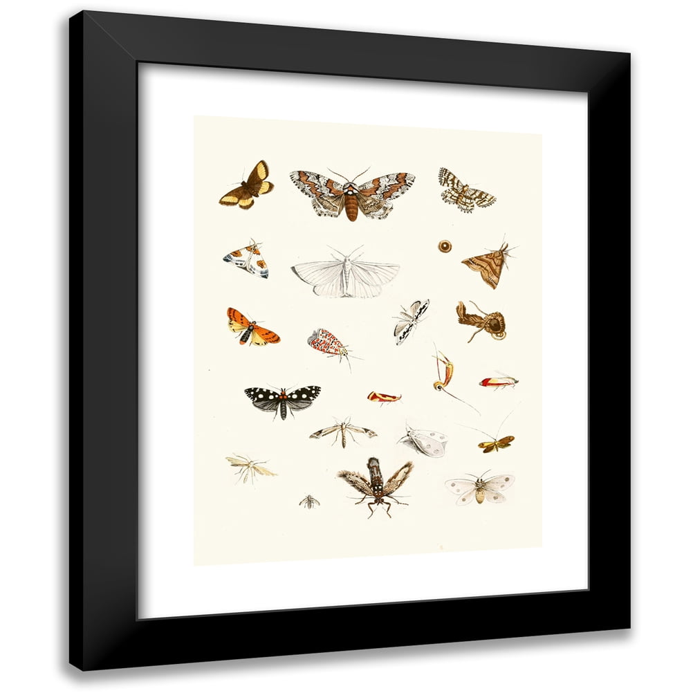 Johann Heinrich Sulzer 19x24 Black Modern Framed Museum Art Print ...