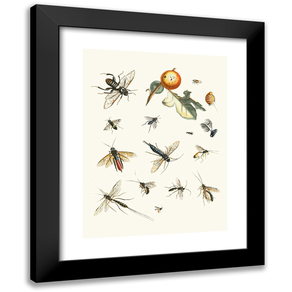 Johann Heinrich Sulzer 19x24 Black Modern Framed Museum Art Print ...