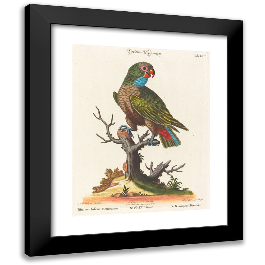 Johann Sebastian Leitner 15x18 Black Modern Framed Museum Art Print ...