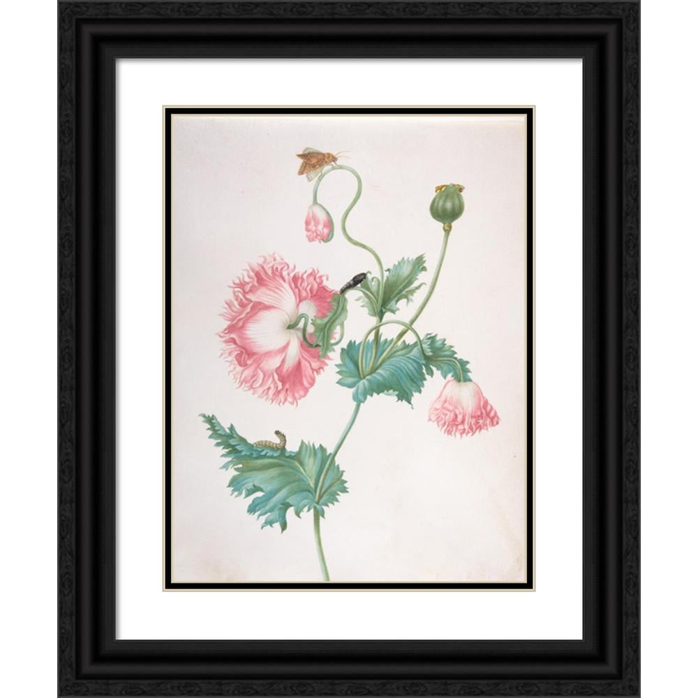 Johanna Helena Graff 12x14 Black Ornate Wood Framed Double Matted ...