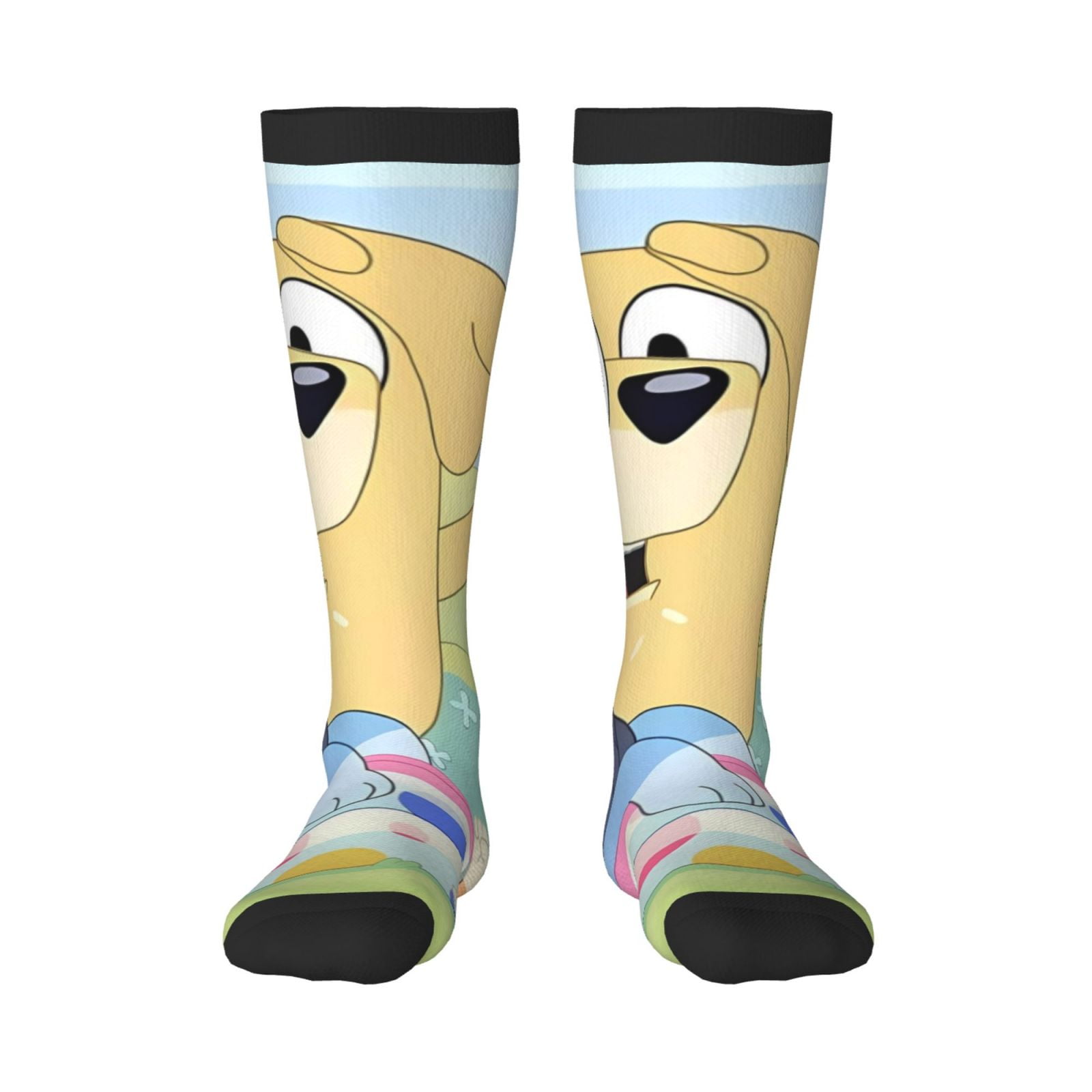 Johaoi Bluey Pattern Crazy Funny Stocking for Men & Women Colorful Fun ...