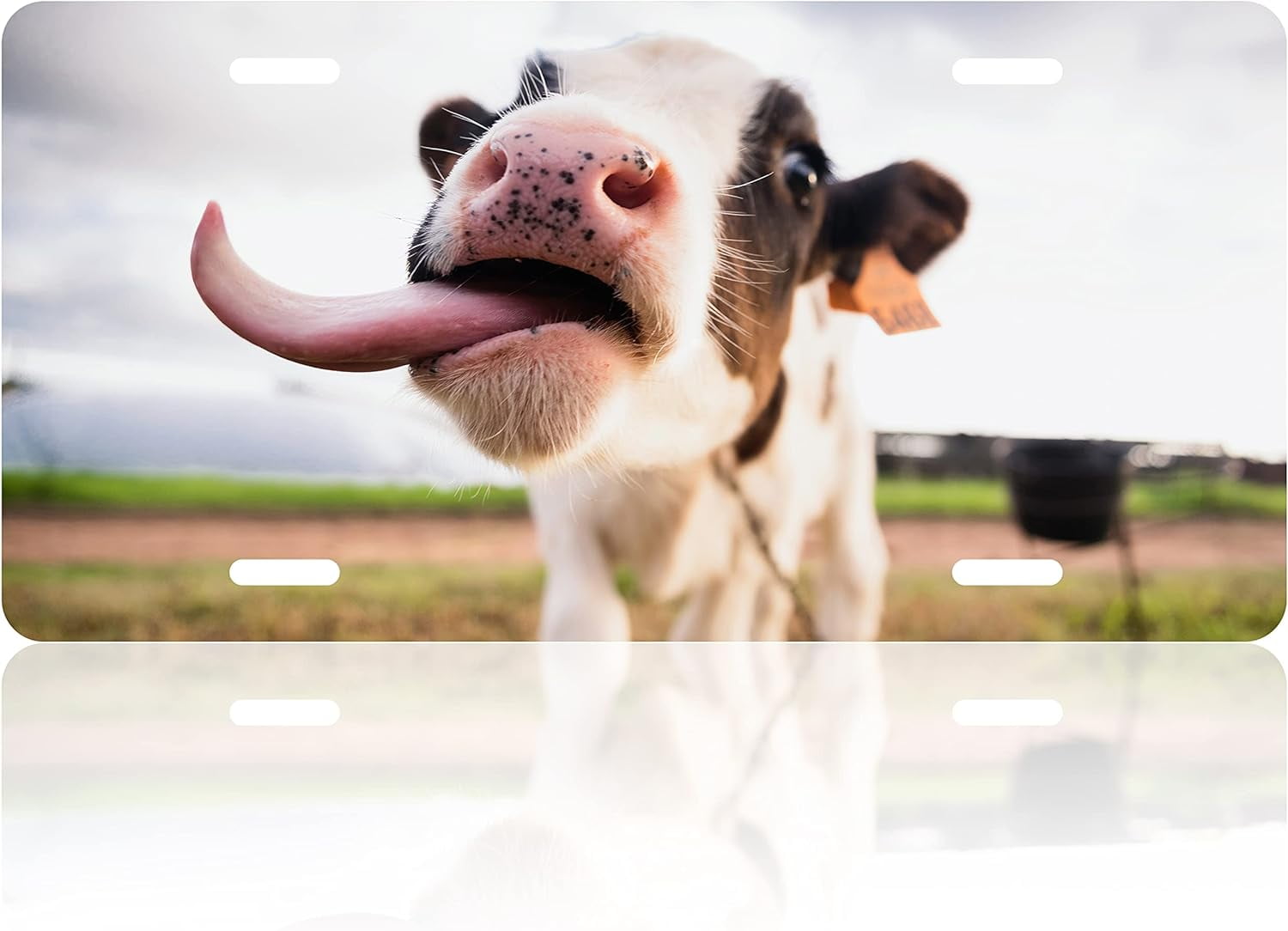 John 3:16 Religious License Plate Cover Cross License Plate for Car ...