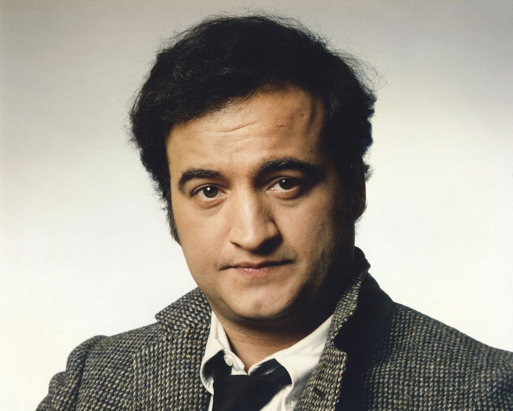 John Belushi Comedy Legend Portrait 24X36 Classic Hollywood Poster ...