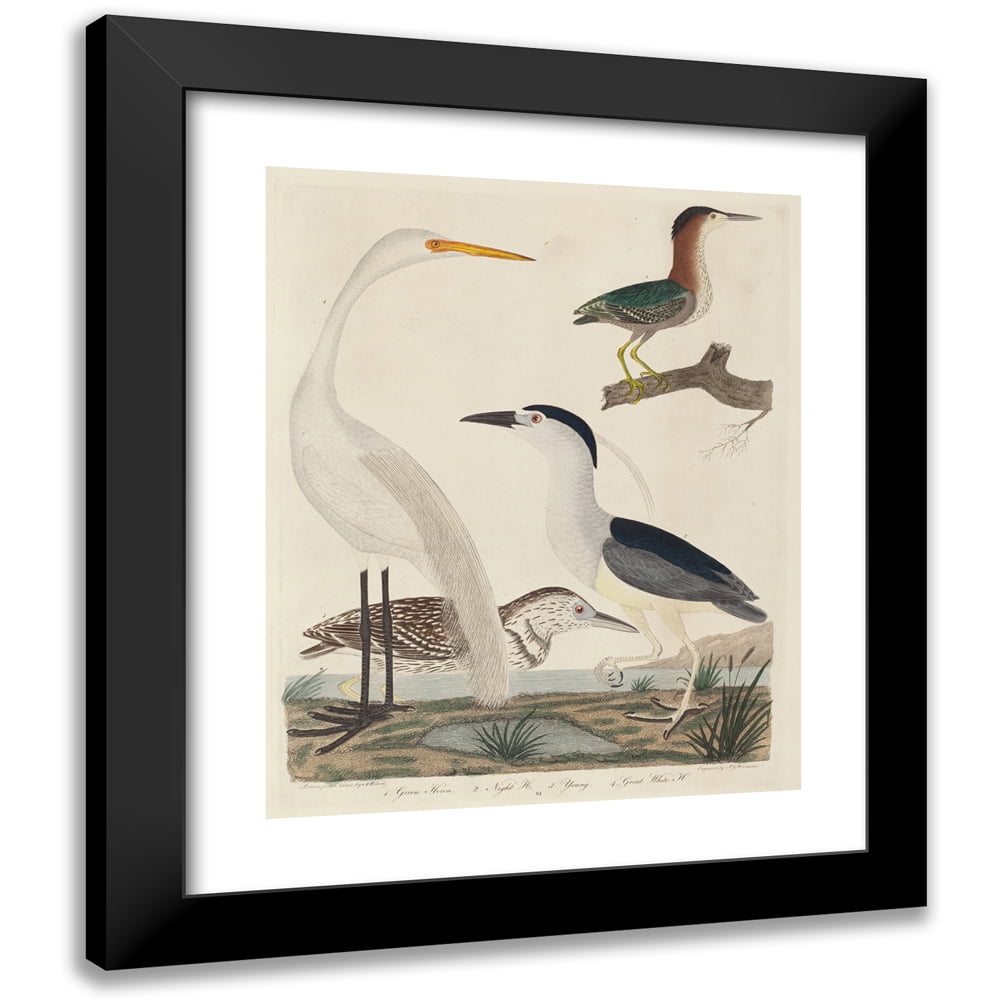 John G. Warnicke 12x14 Black Modern Framed Museum Art Print Titled ...