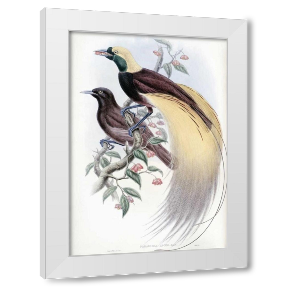 John Glover 4x14 White Modern Wood Framed Wall Art Titled - Greater ...