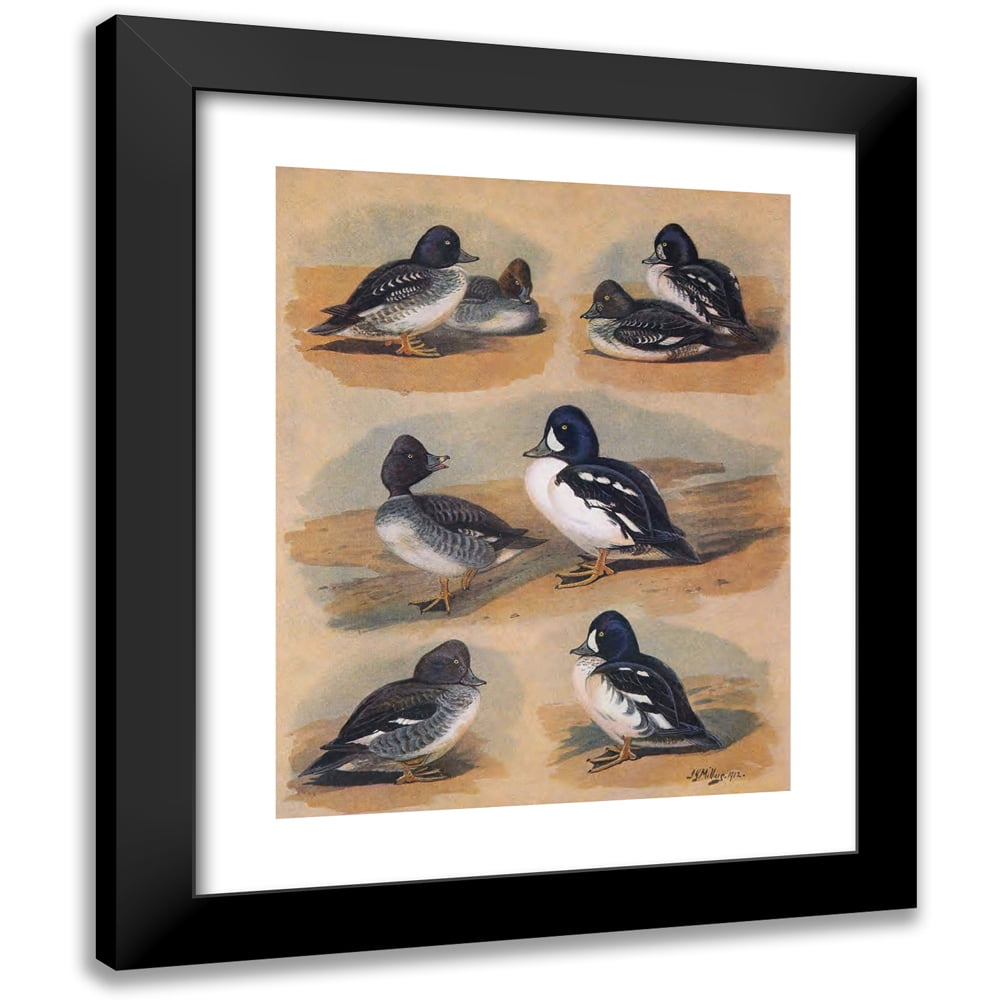 John Guille Millais 15x18 Black Modern Framed Museum Art Print Titled ...