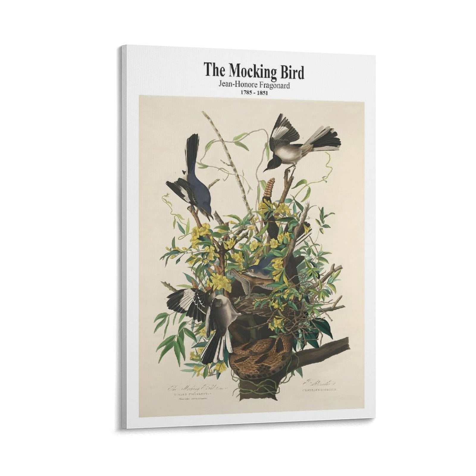 John James Audubon Bird Watching Painting Art Poster Space Aesthetic ...