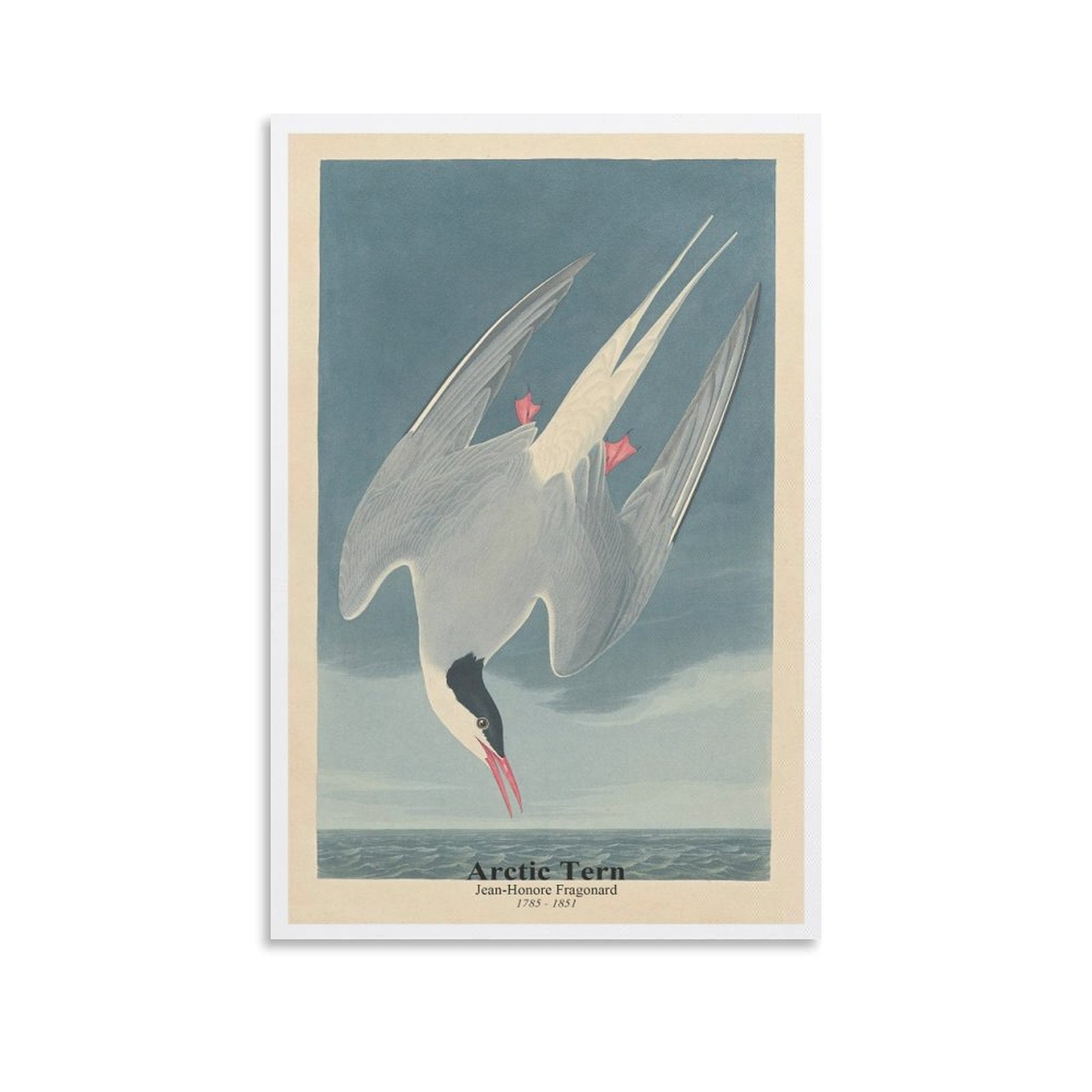 John James Audubon Birding Painting Art Poster Space Aesthetics Arctic ...