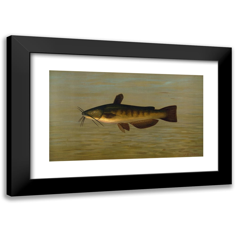 John L. Petrie 18x12 Black Modern Framed Museum Art Print Titled - The ...