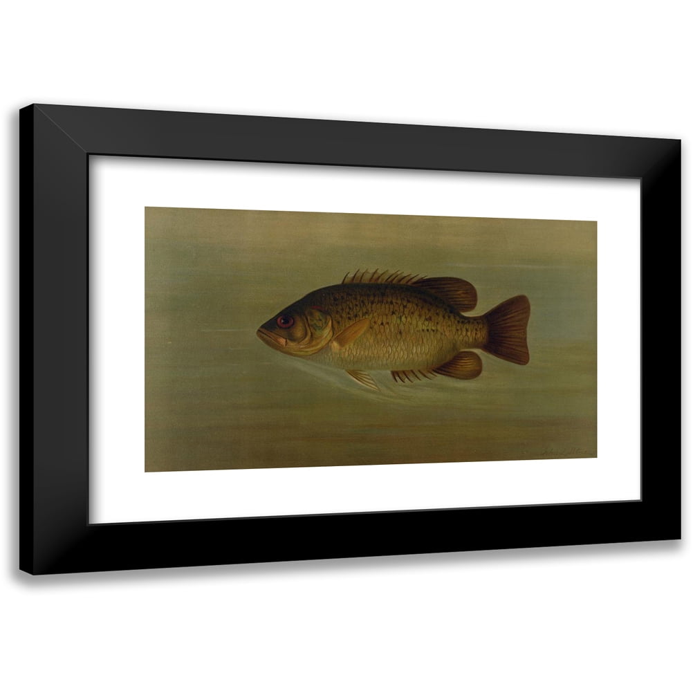 John L. Petrie 18x12 Black Modern Framed Museum Art Print Titled - The ...