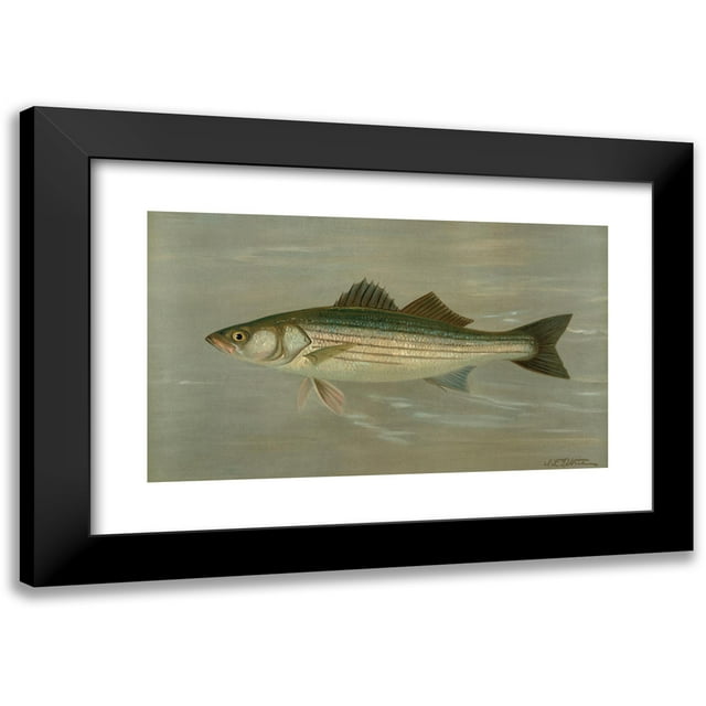 John L. Petrie 18x12 Black Modern Framed Museum Art Print Titled - The ...