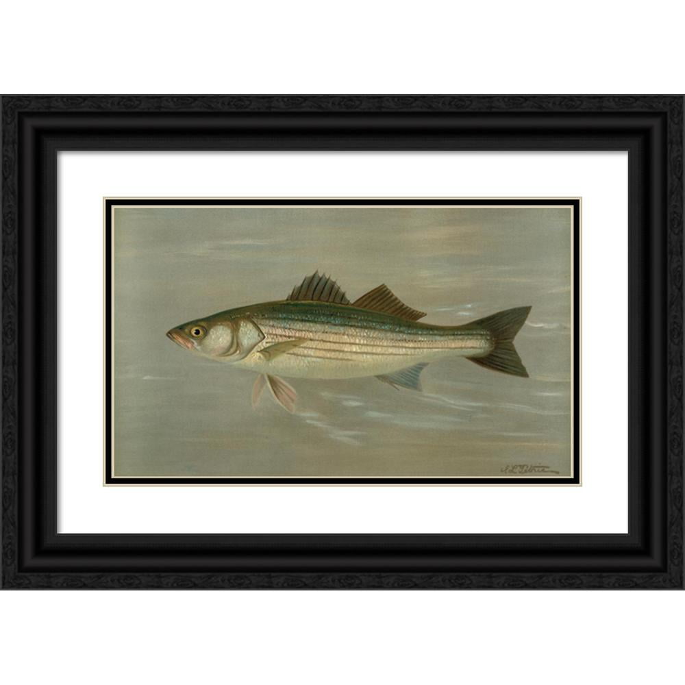 John L. Petrie 18x12 Black Ornate Wood Framed Double Matted Museum Art ...