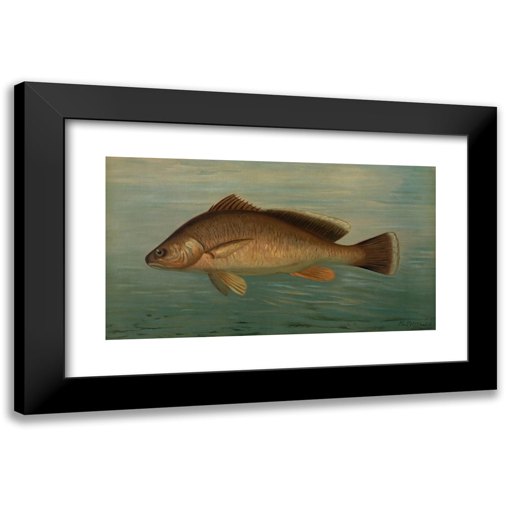 John L. Petrie 24x15 Black Modern Framed Museum Art Print Titled - The ...