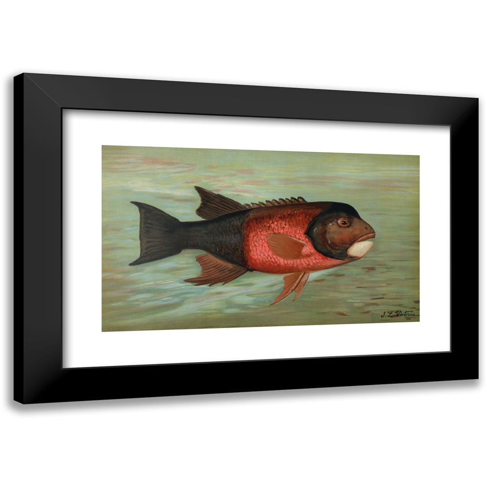 John L. Petrie 24x16 Black Modern Framed Museum Art Print Titled - The ...