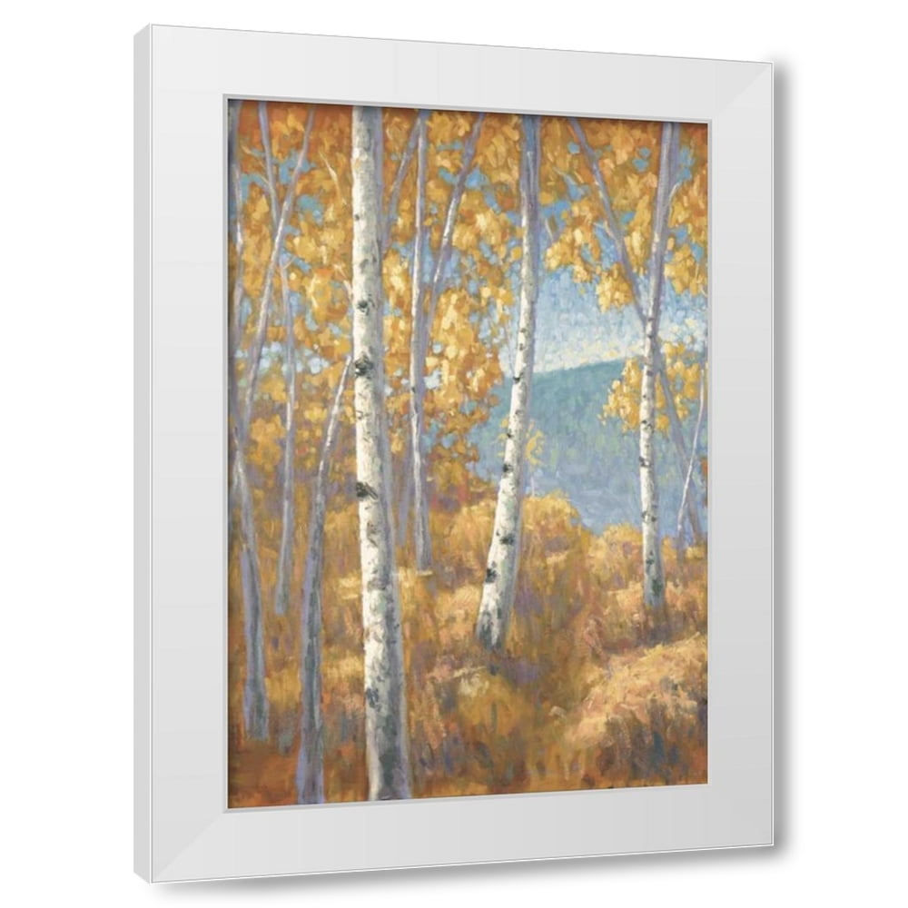 John Macnab 11x14 White Modern Wood Framed Wall Art Titled - Aspen ...