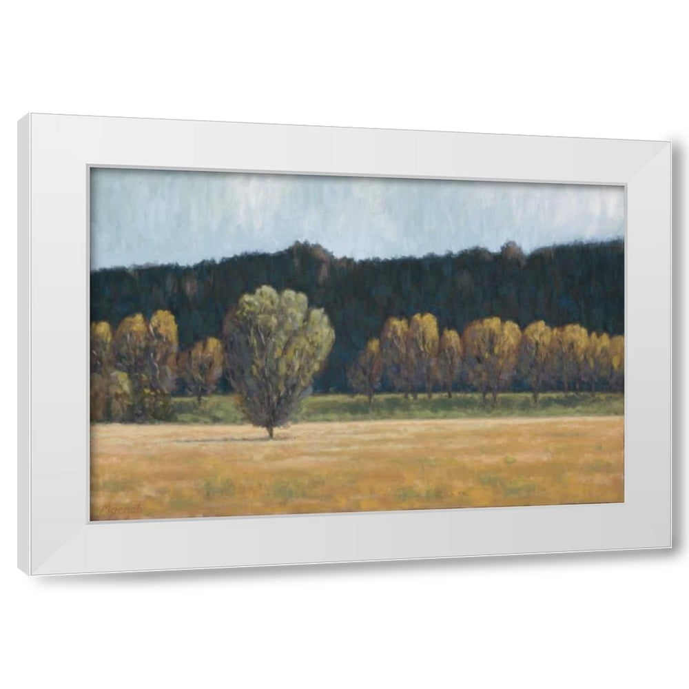 John Macnab 18x13 White Modern Wood Framed Wall Art Titled - Cottonwood ...