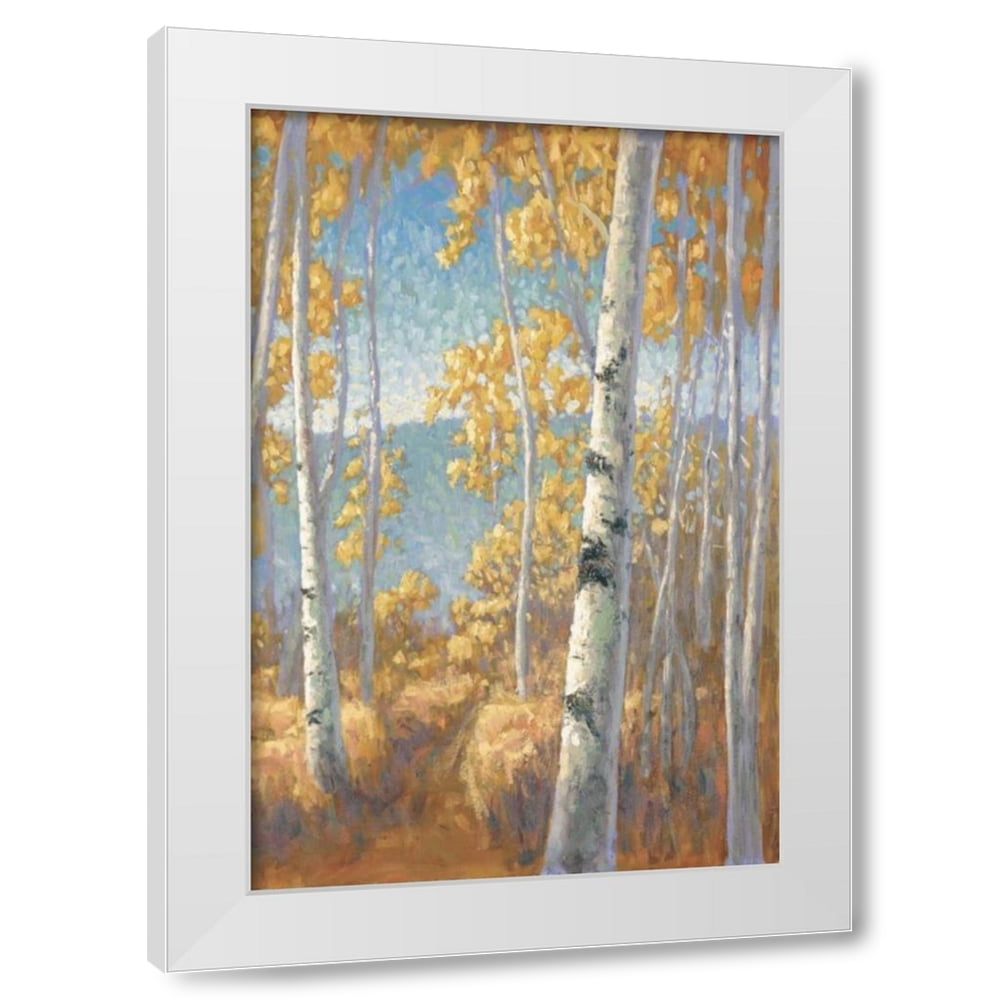 John Macnab 23x32 White Modern Wood Framed Wall Art Titled - Aspen ...