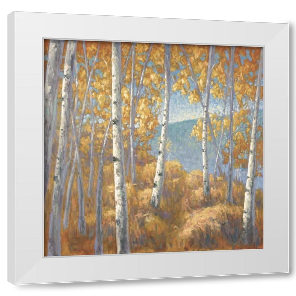 John Macnab 26x26 White Modern Wood Framed Wall Art Titled - Fall Aspen ...