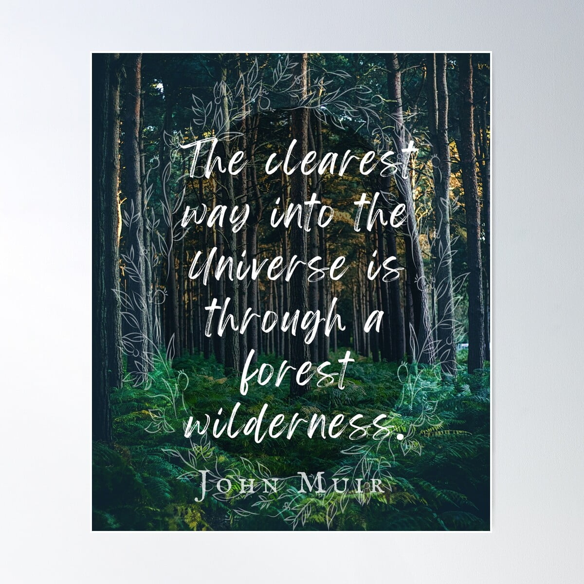 John Muir Quote: The Clearest Way Into The Universe Is Through A Forest ...