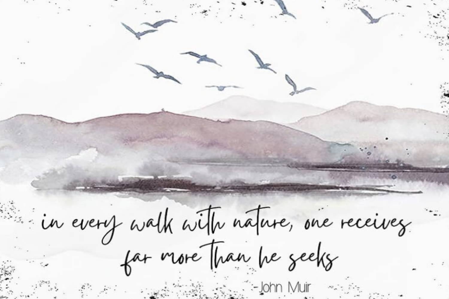 John Muir Quote in Every Walk with Nature One Receives Far More ...