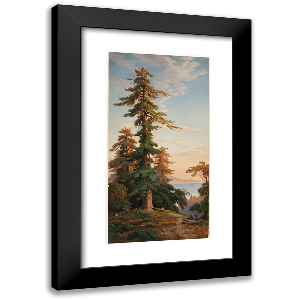 John Ross Key 14x24 Black Modern Framed Museum Art Print Titled - Redwood Trees, Santa Cruz Mts ...