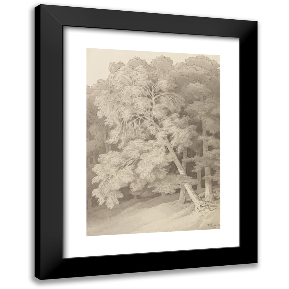 John White Abbott 11x14 Black Modern Framed Museum Art Print Titled ...
